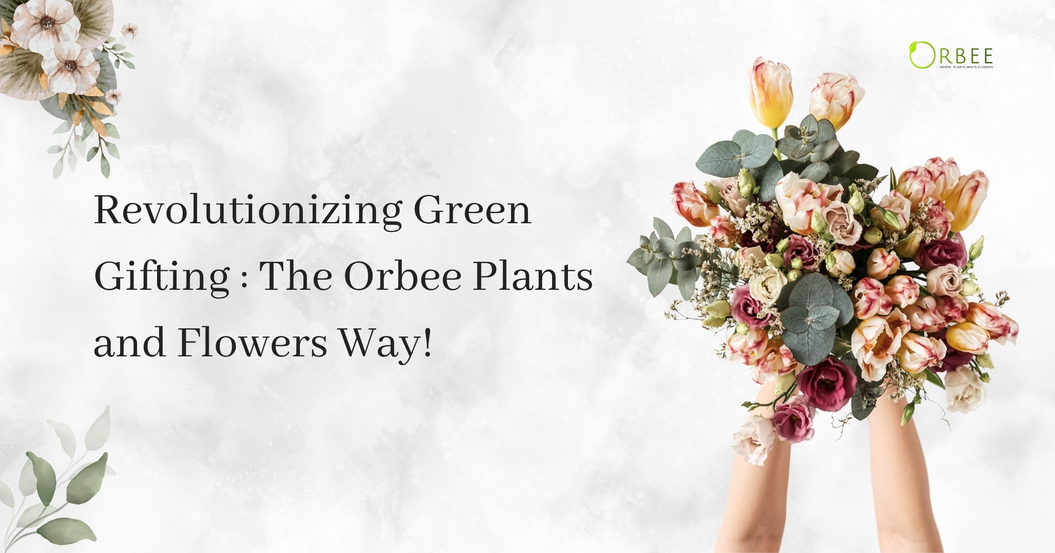 How Orbee is Revolutionizing Plant and Flower Delivery in Qatar ...
