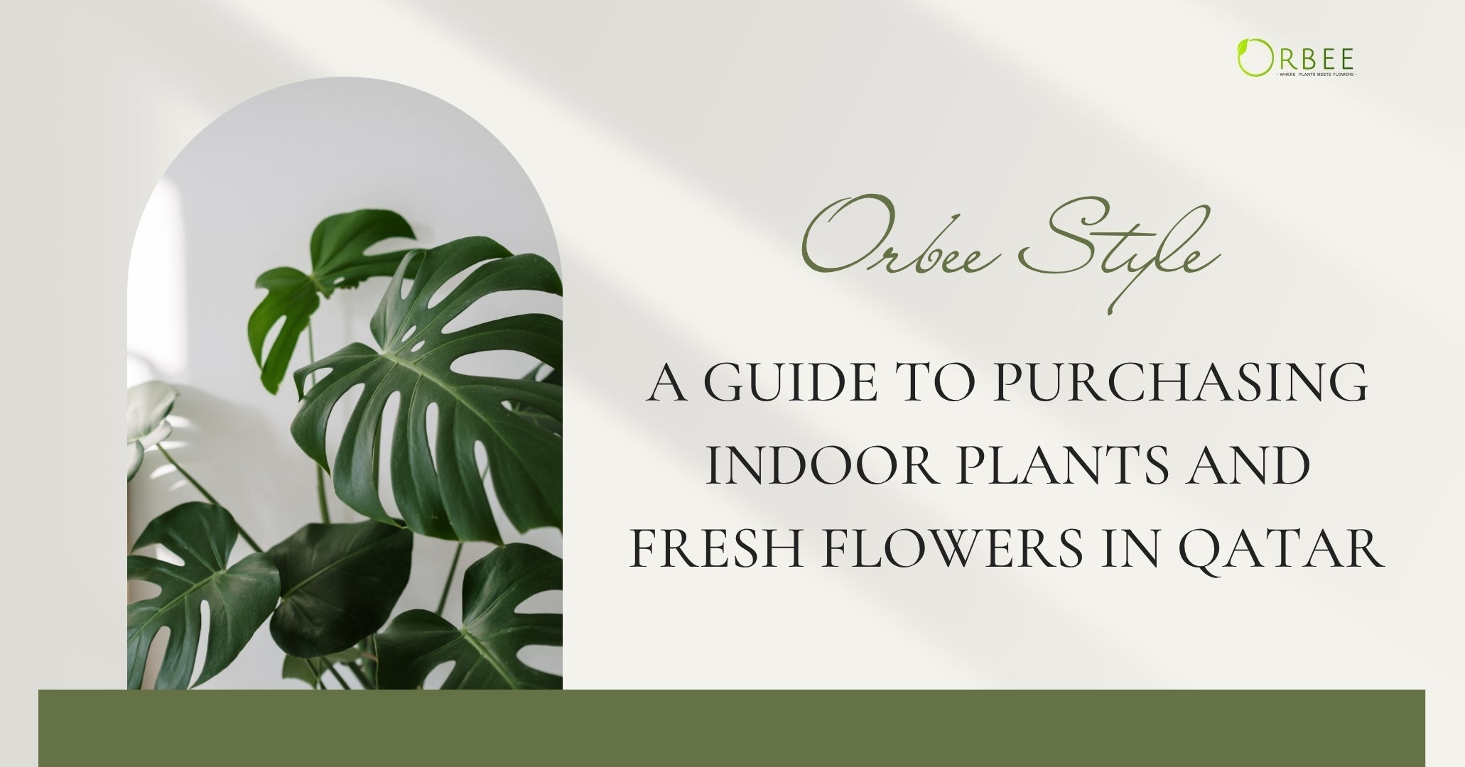 A Guide to Purchasing Indoor Plants and Fresh Flowers in Qatar – Orbee ...